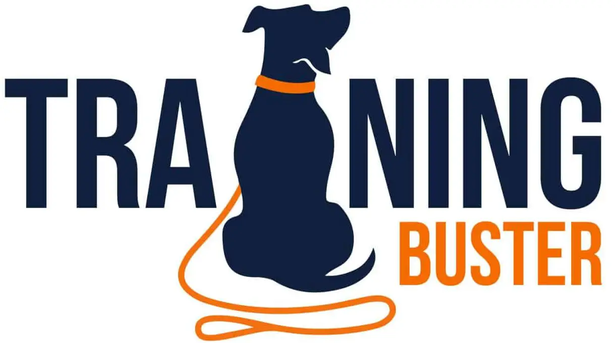 - Dog training and tips